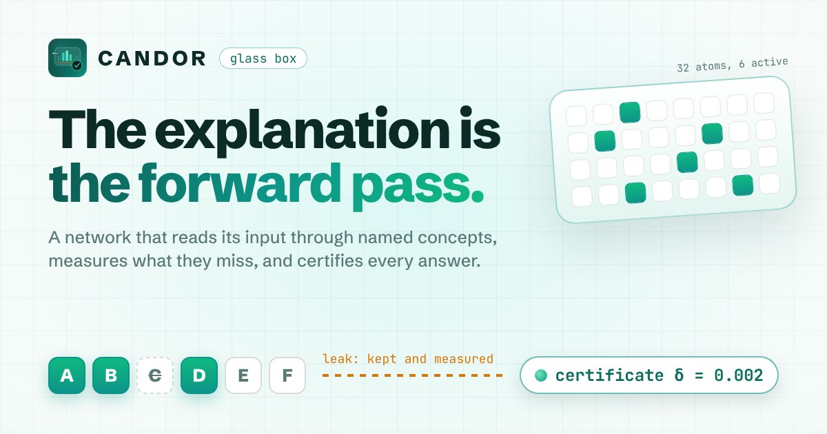 CANDOR glass box: a network that runs on its own explanation